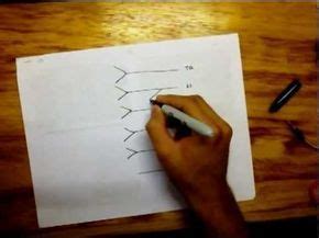 Easy Way To Draw The Lumbar Plexus Turn Up Your Speakers He Speaks Quietly Plexus Products