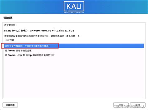 Kali 安装教程有手就会】kali安装 Csdn博客