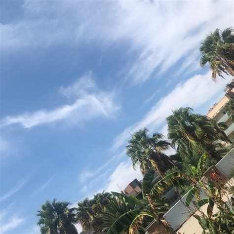 Cro Cop Crocop597 • Threads Say More