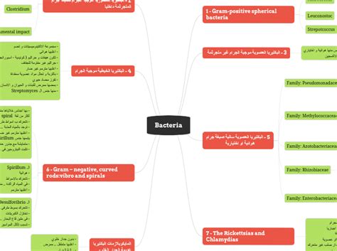 Bacteria Mind Map