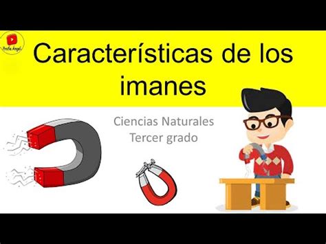 Que Es Un Iman Y Cuales Son Sus Principales Caracteristicas