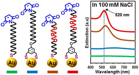 Robust Maleimide Functionalized Gold Surfaces And Nanoparticles Generated Using Custom Designed