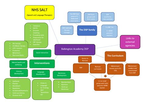 Babington Academy Designated Specialist Provision DSP