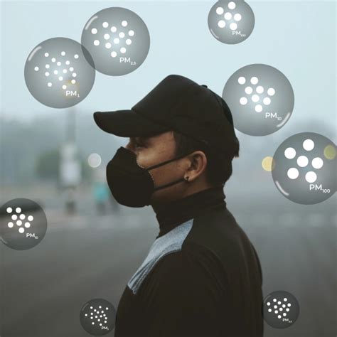 Health Effects Of Particulate Matter You Should Know