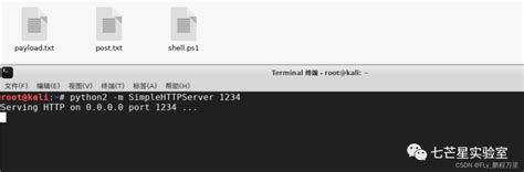 无文件落地攻击 csdn博客