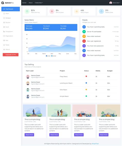 Admin Pro Lite Free Angular Admin Template