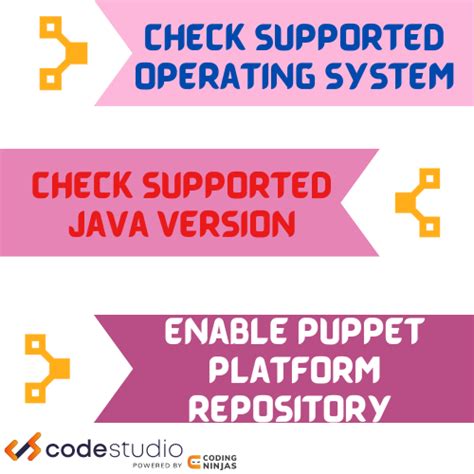 Key Points Of Puppet Server Naukri Code