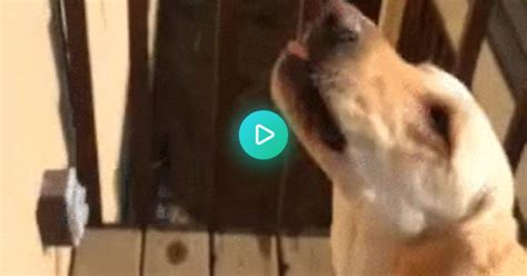 catching raindrops on imgur