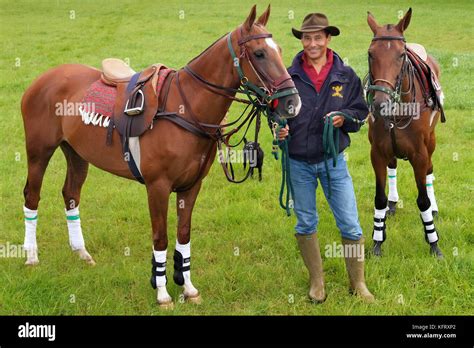 Martin Ephson With His Polo Ponies Vampiro White Spot On Head And