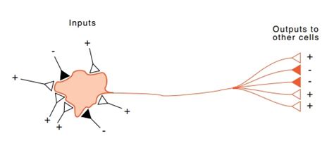 Secondary Structure Predictions Protein Structure