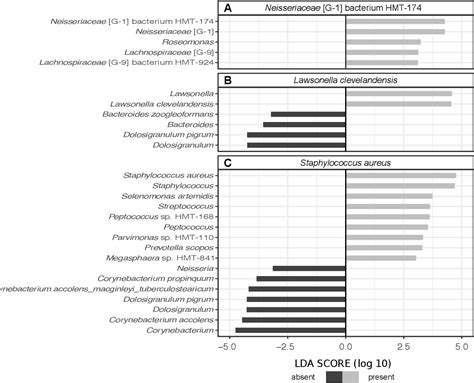 Figure 1 From New Insights Into Human Nostril Microbiome From The