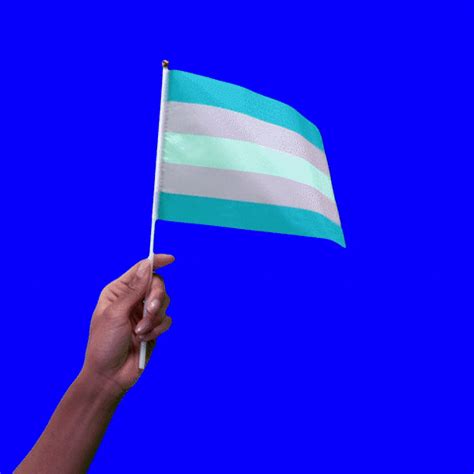 Transgender Flags S Get The Best  On Giphy