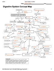 Digestive System Concept Map