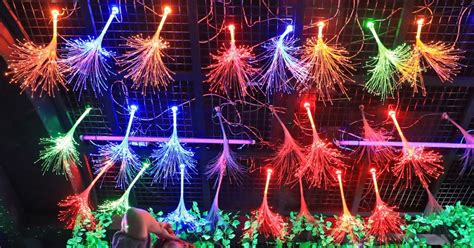 환상적인 무주 반딧불이 홀로그램