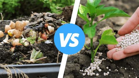 肥料风云：有机肥料和合成化肥的比较 哔哩哔哩