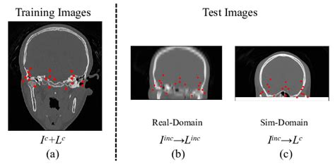 examples from the head datasets used in our experiments a represents