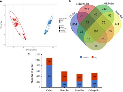 Transcriptome Profiles Of The Degs A Pca Of The Callus And Somatic
