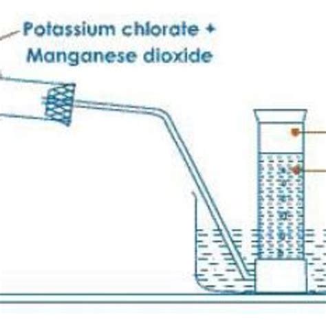 1 An Apparatus For Collecting Gas Over Water The Oxygen Generated By