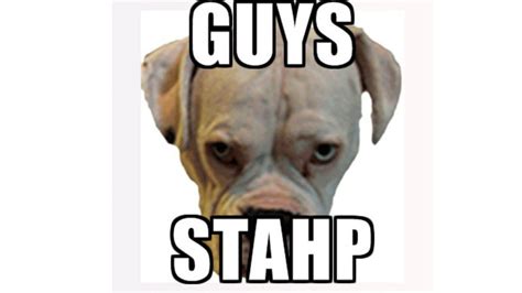 Stahp Know Your Meme