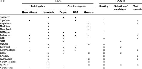 Description Of The Inputs Needed By The Tools And The Outputs Produced