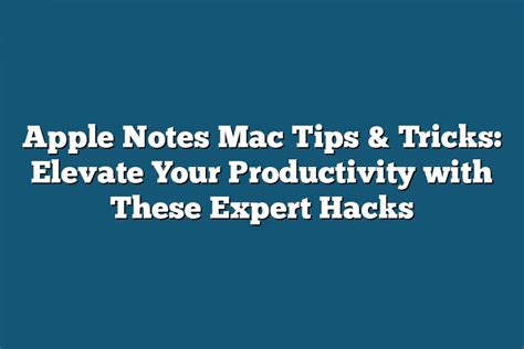 Apple Notes Mac Tips And Tricks Elevate Your Productivity With These