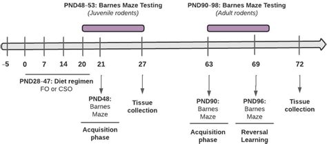 Short Term Fish Oil Supplementation During Adolescence Supports Sex