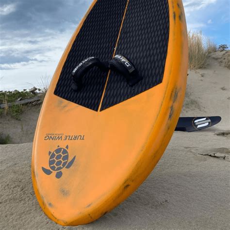 In The Near Future Turtle Wing