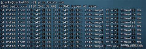 Linux的ping命令、wget命令、curl命令curl Ping Csdn博客