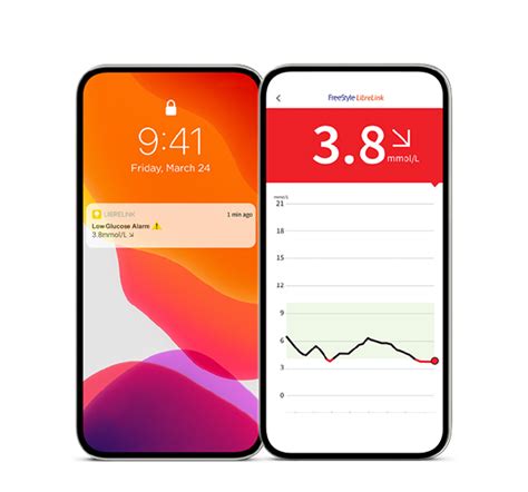 FreeStyle Libre System Healthcare Professionals Abbott