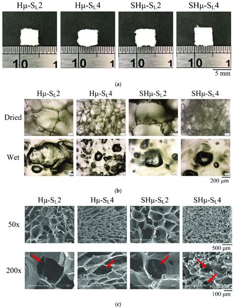 Hydrogel Scaffolds Are Prepared By Impregnating Pore Formers Of Download Scientific Diagram