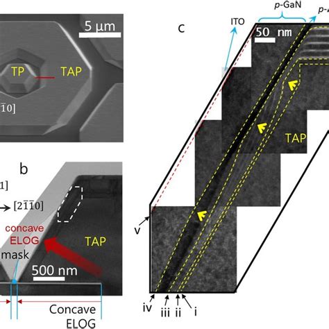 A A Top Down Sem Image Of Sample B B A Bright Field Tem Image Of