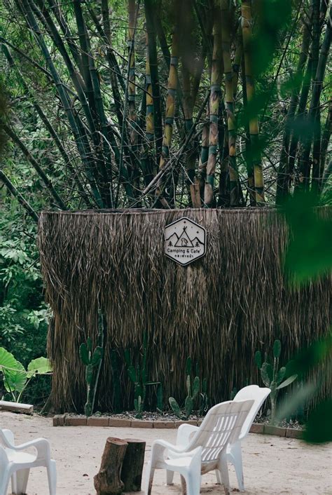 กระต่ายป่าแคมป์ปิ้ง Kataipha Camping Whatthecamp ระบบจองลานกางเต็นท์ ค้นหาลานกางเต็นท์