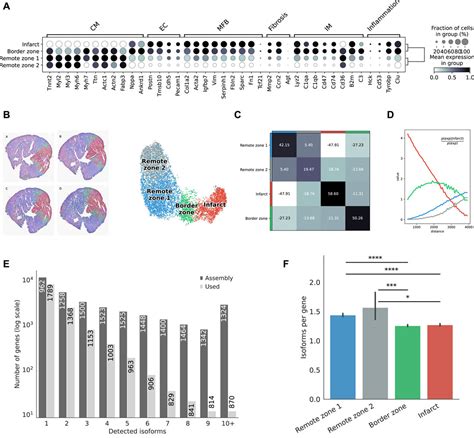 Frontiers Full Length Spatial Transcriptomics Reveals The Unexplored