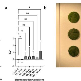 Differences In Weight After Exposure For Each Parameter Statistical Download Scientific