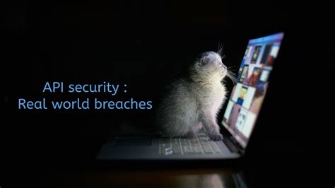 Api Security Real World Breaches