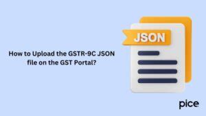 How To File GSTR 9C On The GST Portal? // Pice