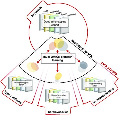 Schematic Overview Of The Transfer Learning Procedure Biological