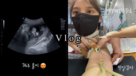Vlog 36주 임산부 브이로그 직장인브이로그 직장인임산부 36주 주수기록 체중기록⏲ 태동기록 먹방🍝 막달검사💉 백일해접종국민행복카드신청 Youtube
