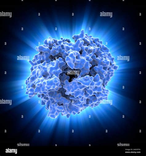 Human RNA Exosome Complex Molecular Model This Multi Protein Complex Functions To Break Up