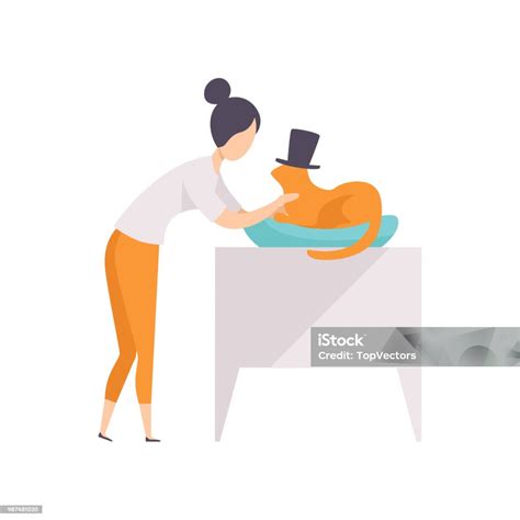 젊은 여 자가 그녀의 순종 고양이 흰색 바탕에 고양이 품종 표시 벡터 일러스트 레이 션에 검은 모자에 제시 걷기에 대한 스톡