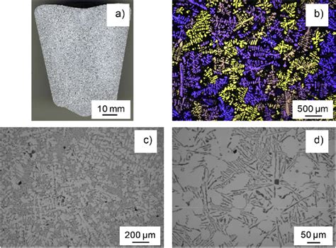 Macrostructure A Microstructure B C And Detail Of The Secondary