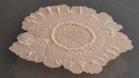 Bacillus Subtilis In Humans