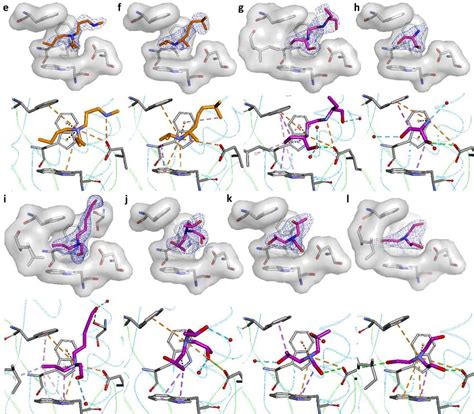 Molecular Binding Mode Of Identified Ligands In The Binding Site Of Download Scientific Diagram Molecular Binding Mode Of Identified Ligands In The Binding Site Of Download Scientific Diagram