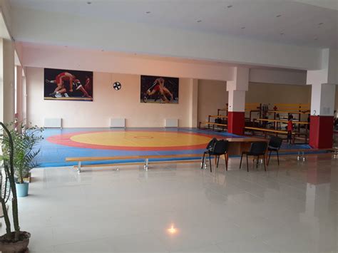 ააიპ ბაღდათის ბავშვთა სპორტული სკოლა