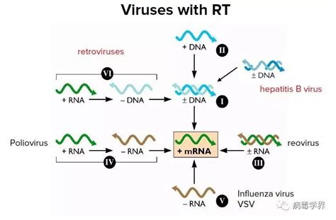 Transcription 千图网