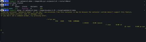 ephemeral container kubectl debug prompt issue · issue 3260