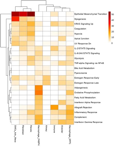 空间转录组细胞niche、细胞频率、通路niche、空间互作、空间hotspot全系列脚本更新（python版本） Csdn博客