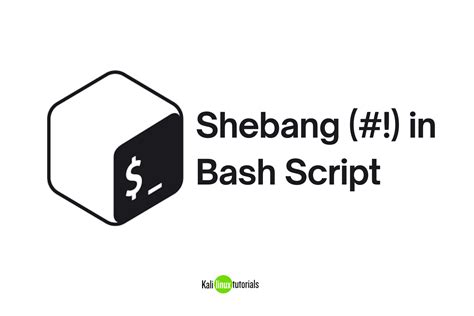 Shebang In Bash Script Kali Linux Tutorials