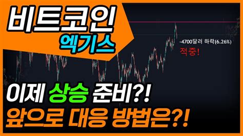 241101 생방송 엑기스 이제 상승 준비 앞으로 대응 방법은 비트코인 알트코인 차트분석 엘리어트파동