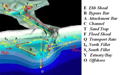 Schematic Vector Diagram Of Sediment Transport Pathways Among Sand